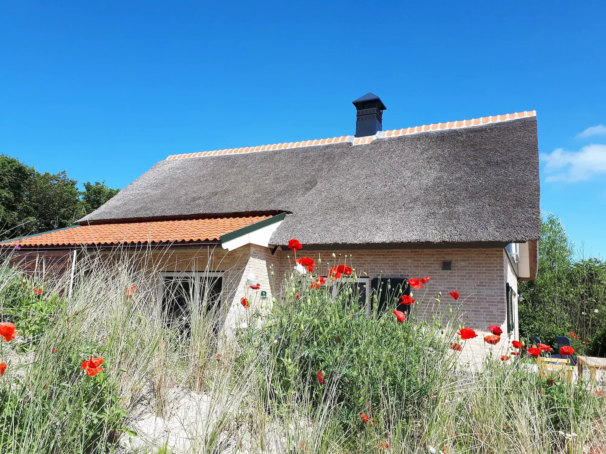 Vakantiepark bij bos en natuur op Texel - Duinrand Texel